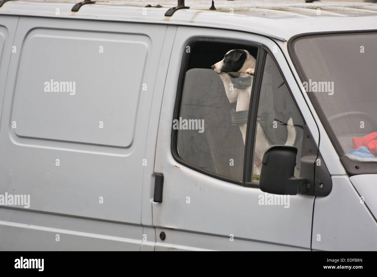 White van hi-res stock photography and images - Alamy