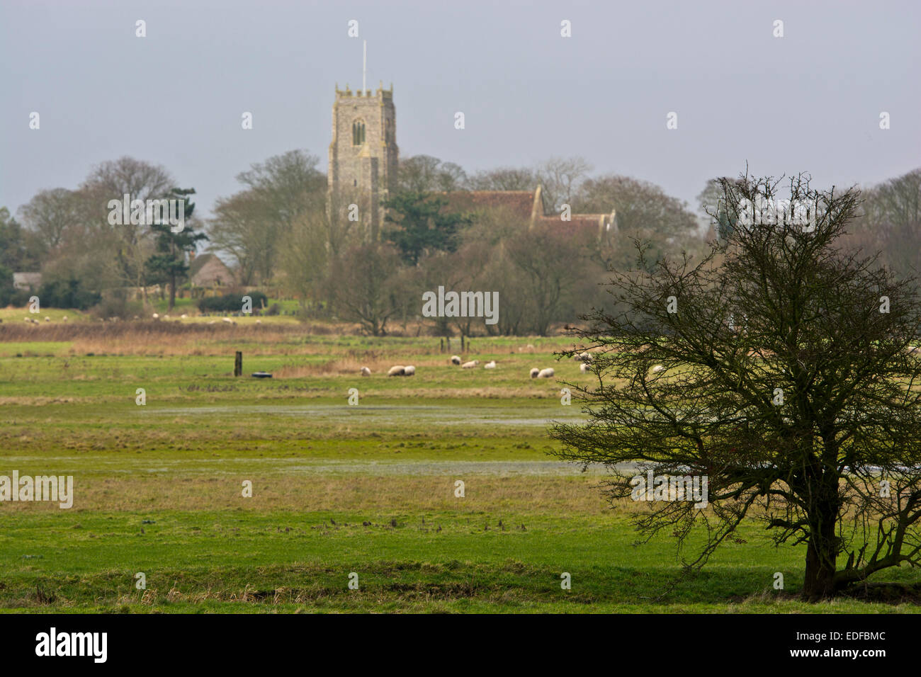 Reedham hi-res stock photography and images - Alamy
