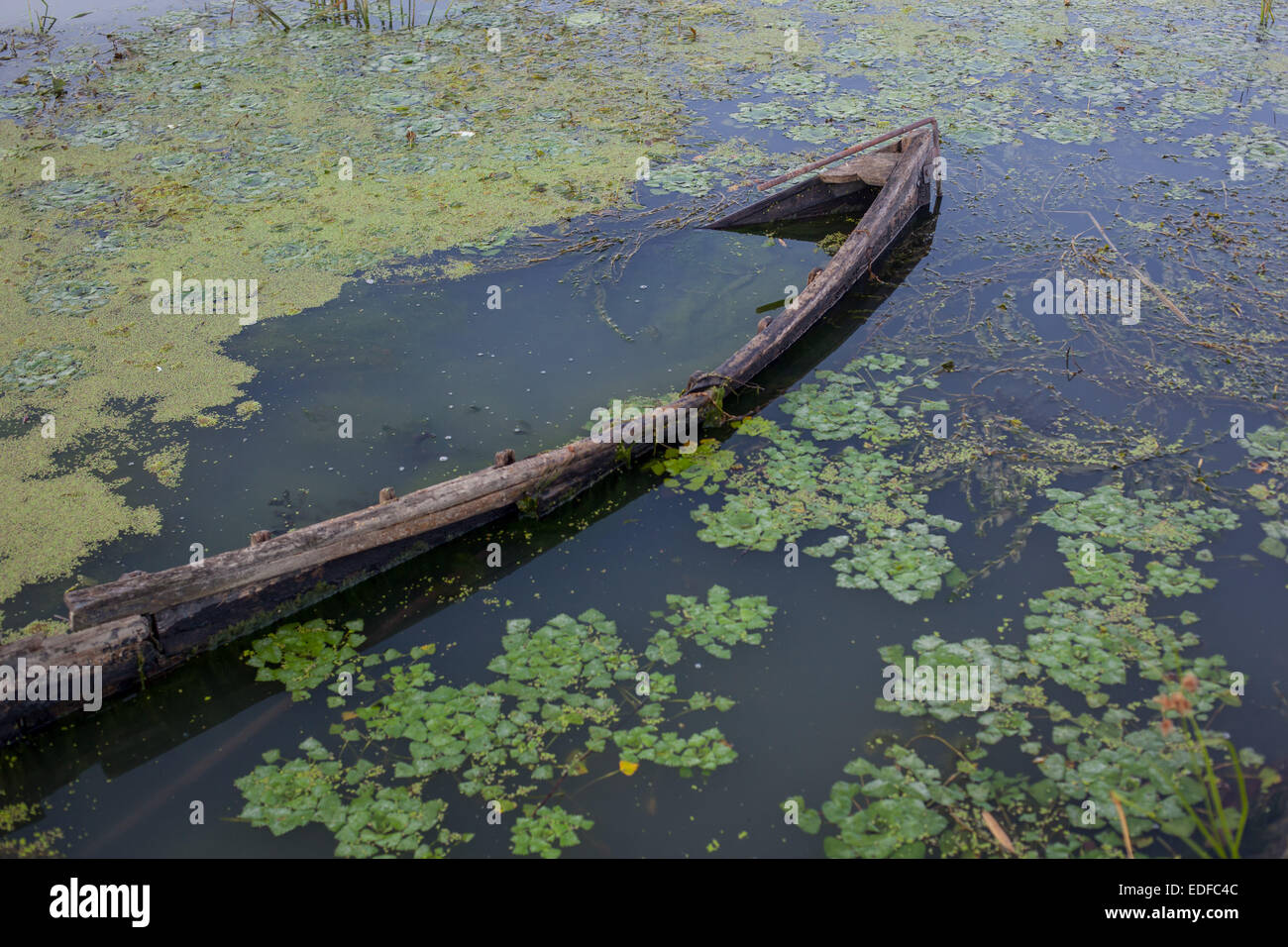 Color picture of a sunken boat in a river Stock Photo - Alamy