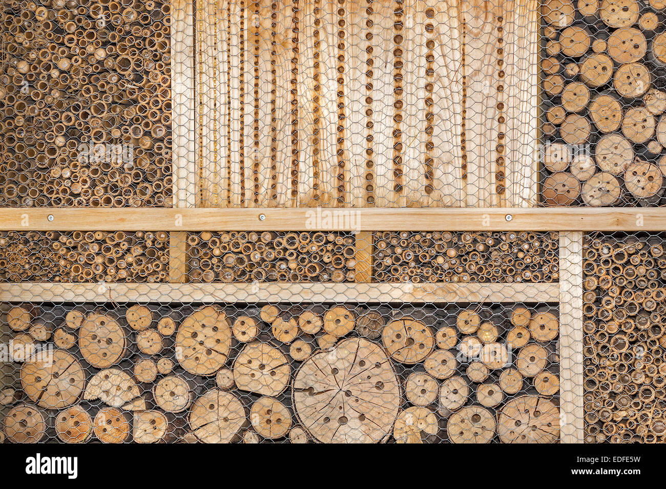 Leaf Cutter Bee Hives (megachilids) Monte Carlo Monaco Stock Photo - Alamy