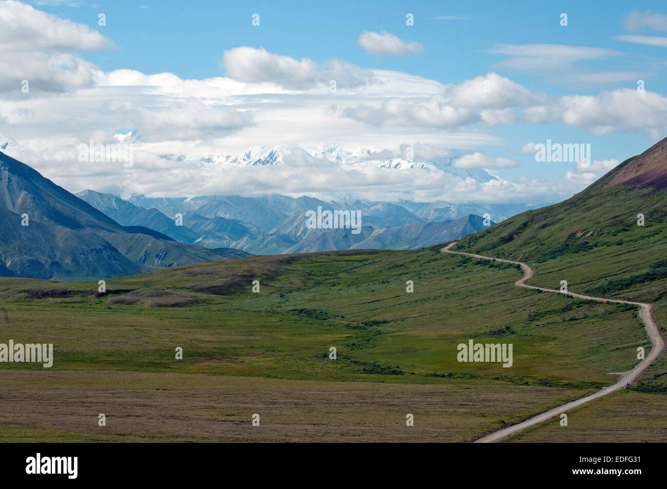 Road in Denali Park Stock Photo - Alamy