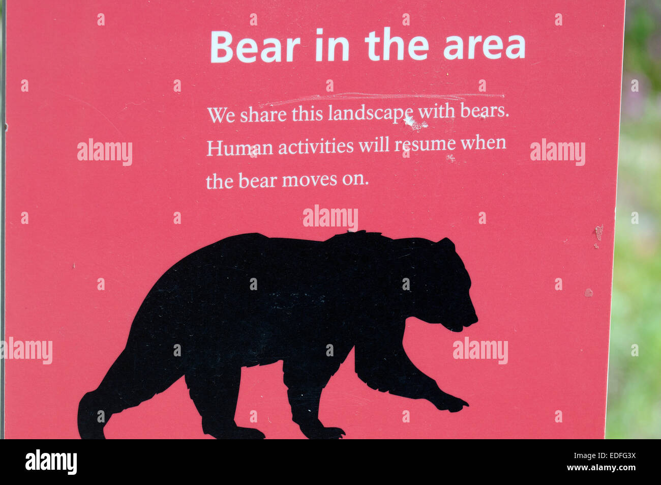 Bear warning sign in Denali Park Alaska Stock Photo - Alamy