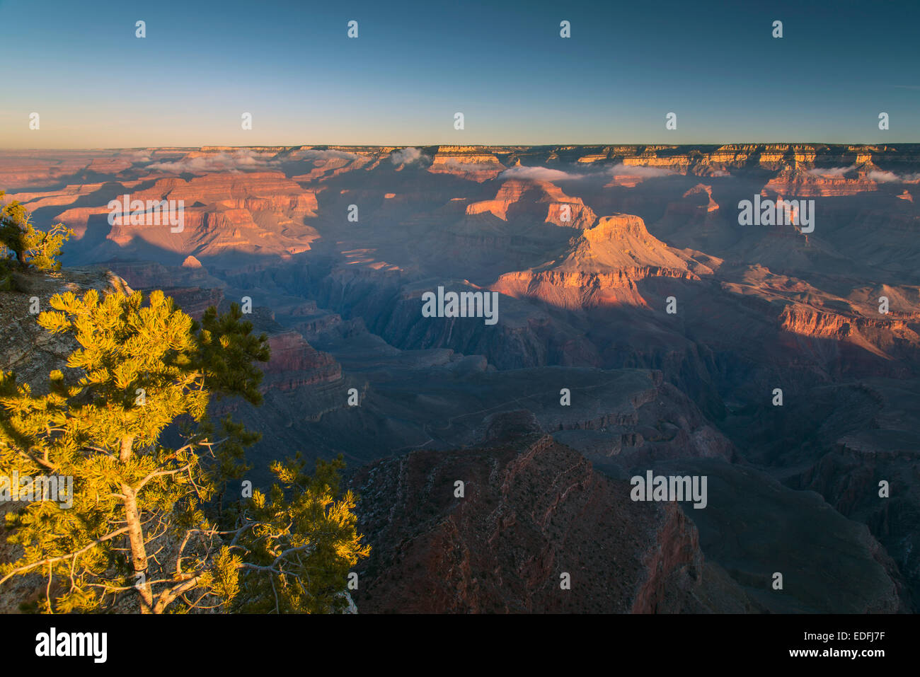 Sunset view of south rim from Hopi Point, Grand Canyon National Park ...