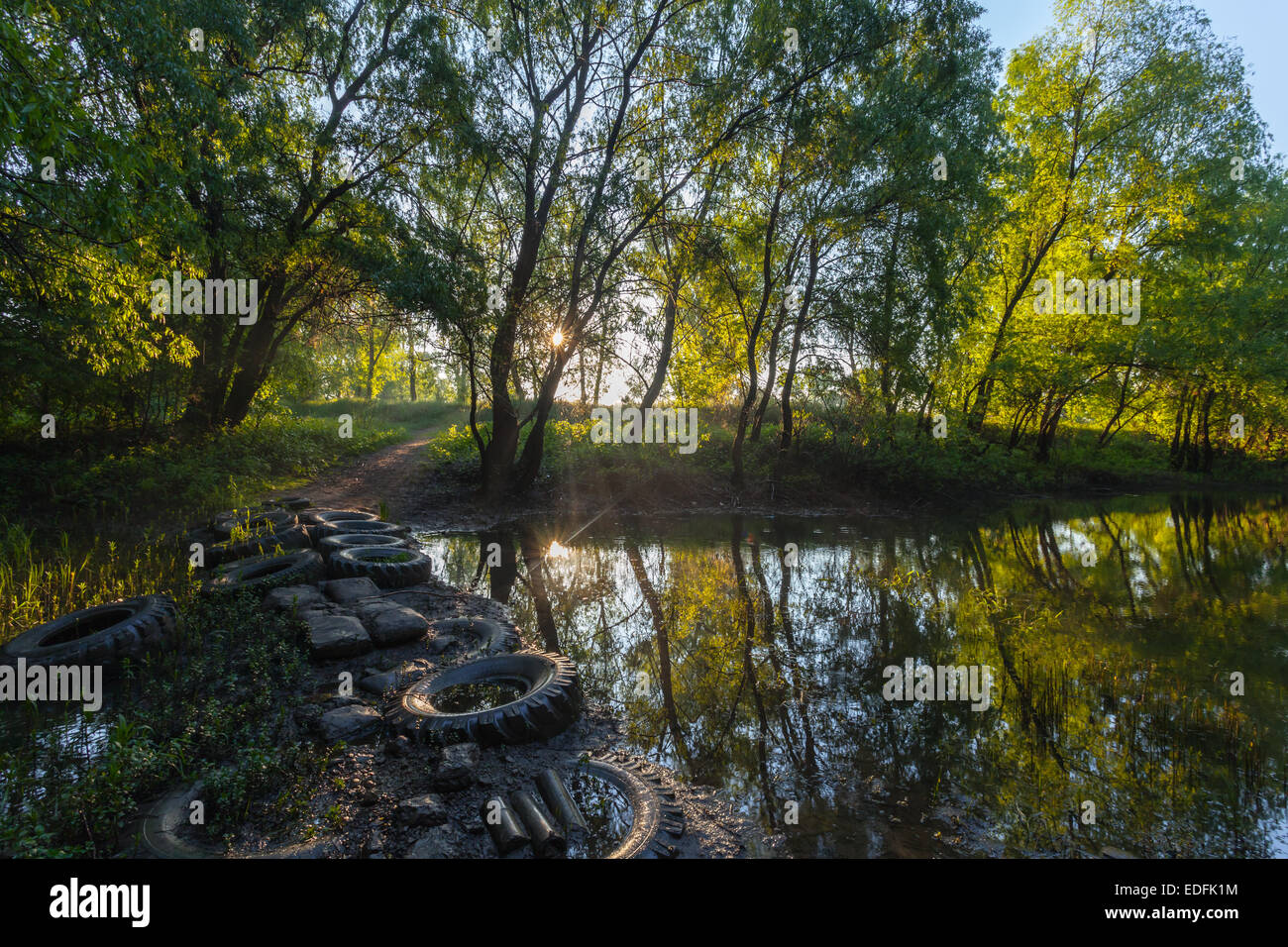 sunset in spring forest, the Ukraine, rural Stock Photo - Alamy