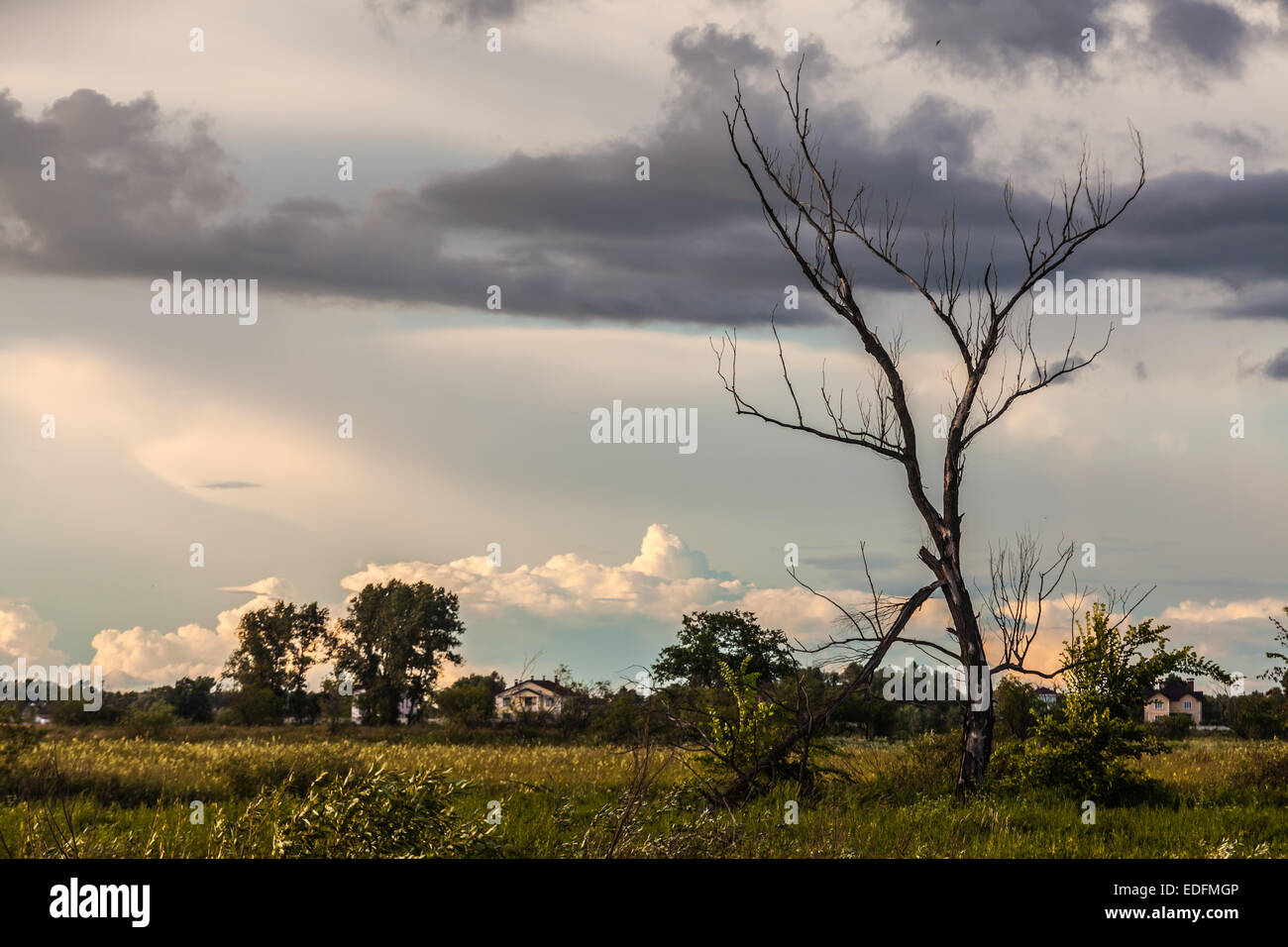 Forest lake, The Ukraine, sunset or sunrise Stock Photo - Alamy