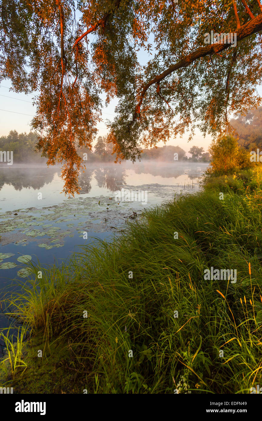 Forest lake, The Ukraine, sunset or sunrise Stock Photo - Alamy
