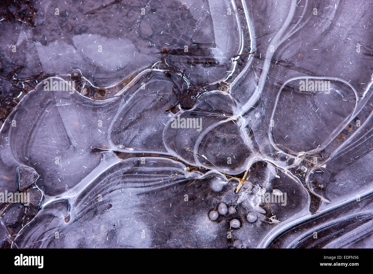 The abstract patterns in a puddle of ice Stock Photo - Alamy