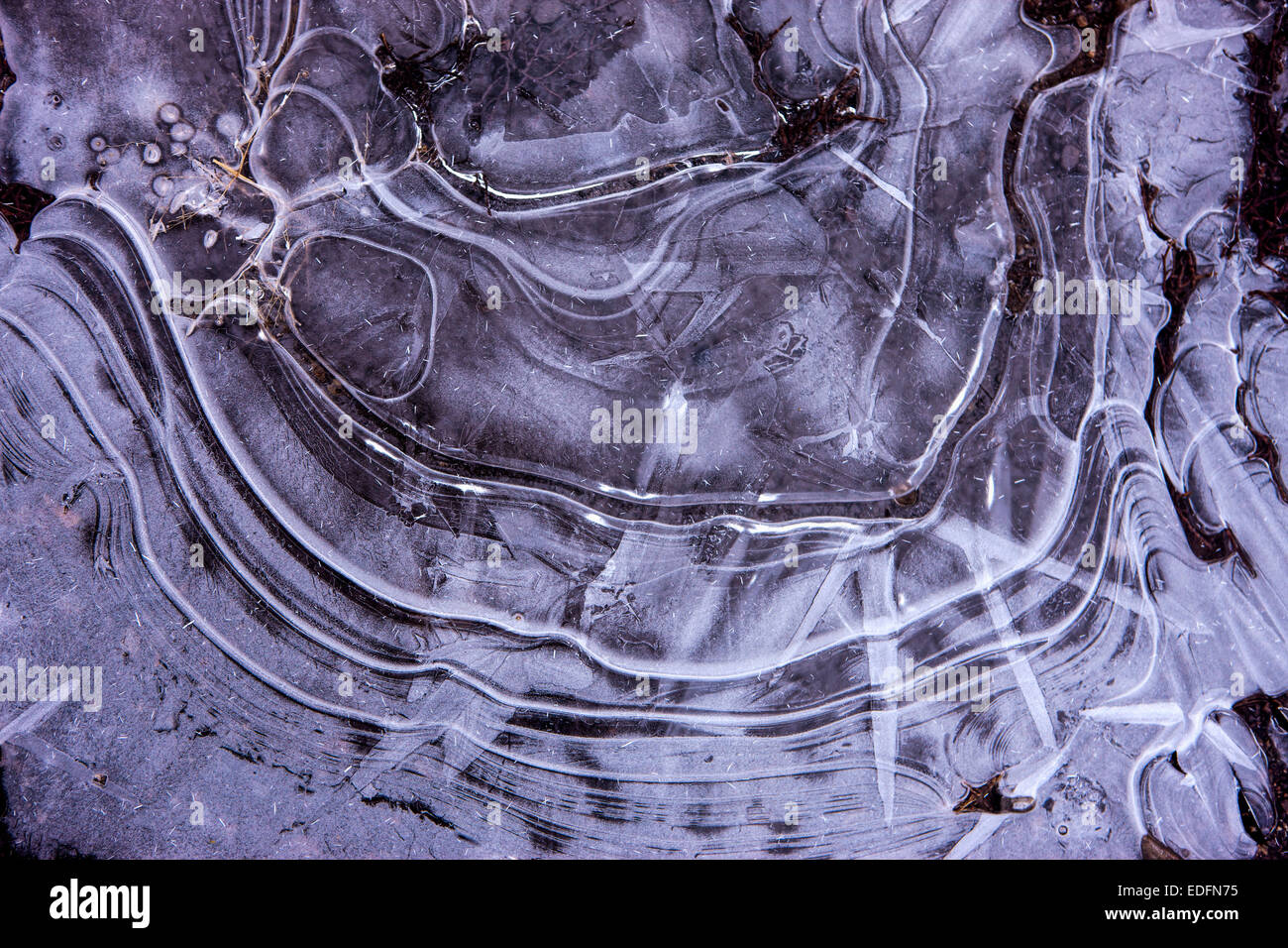 The abstract patterns in a puddle of ice Stock Photo - Alamy