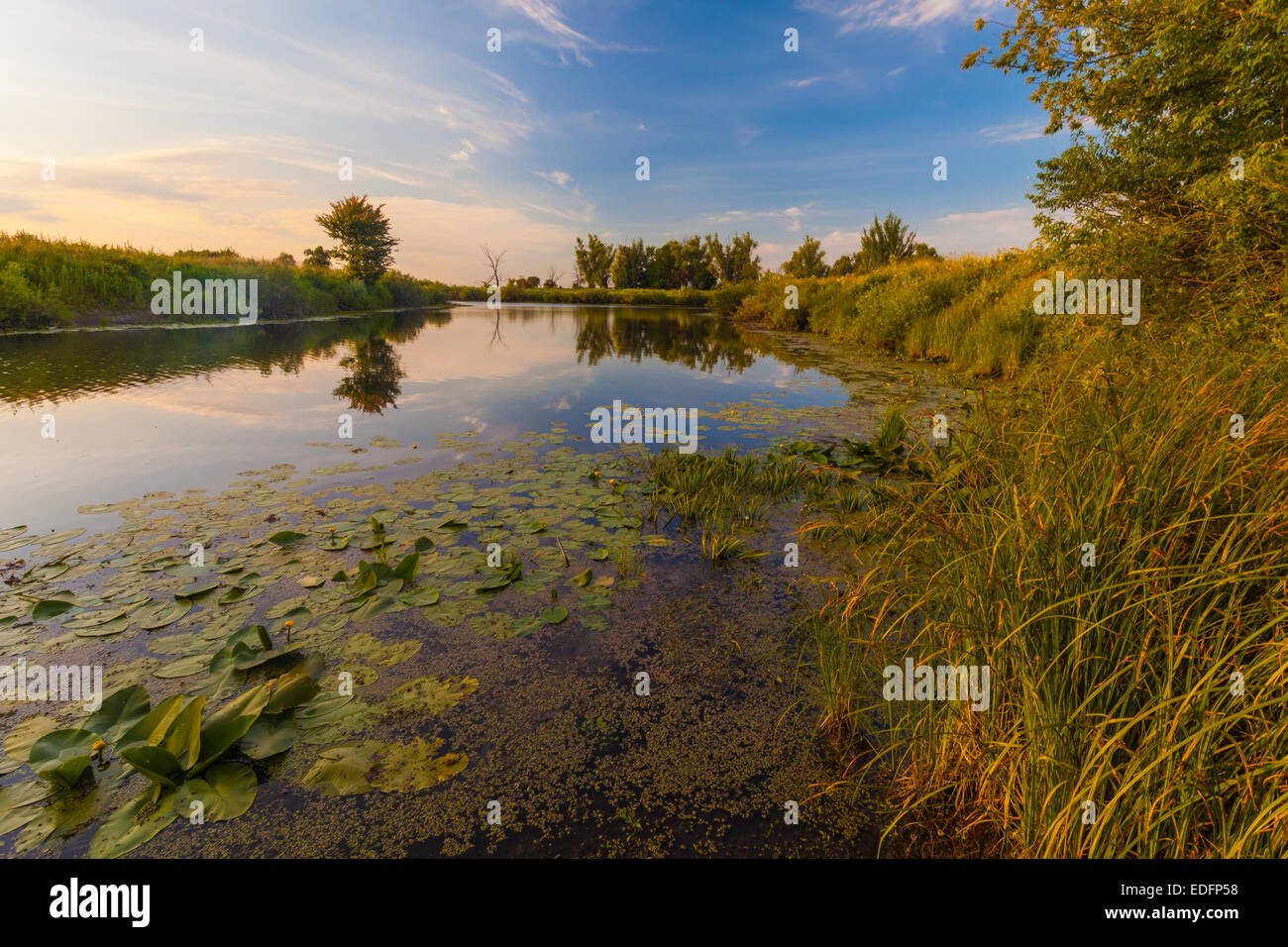 Forest lake, The Ukraine, sunset or sunrise Stock Photo - Alamy