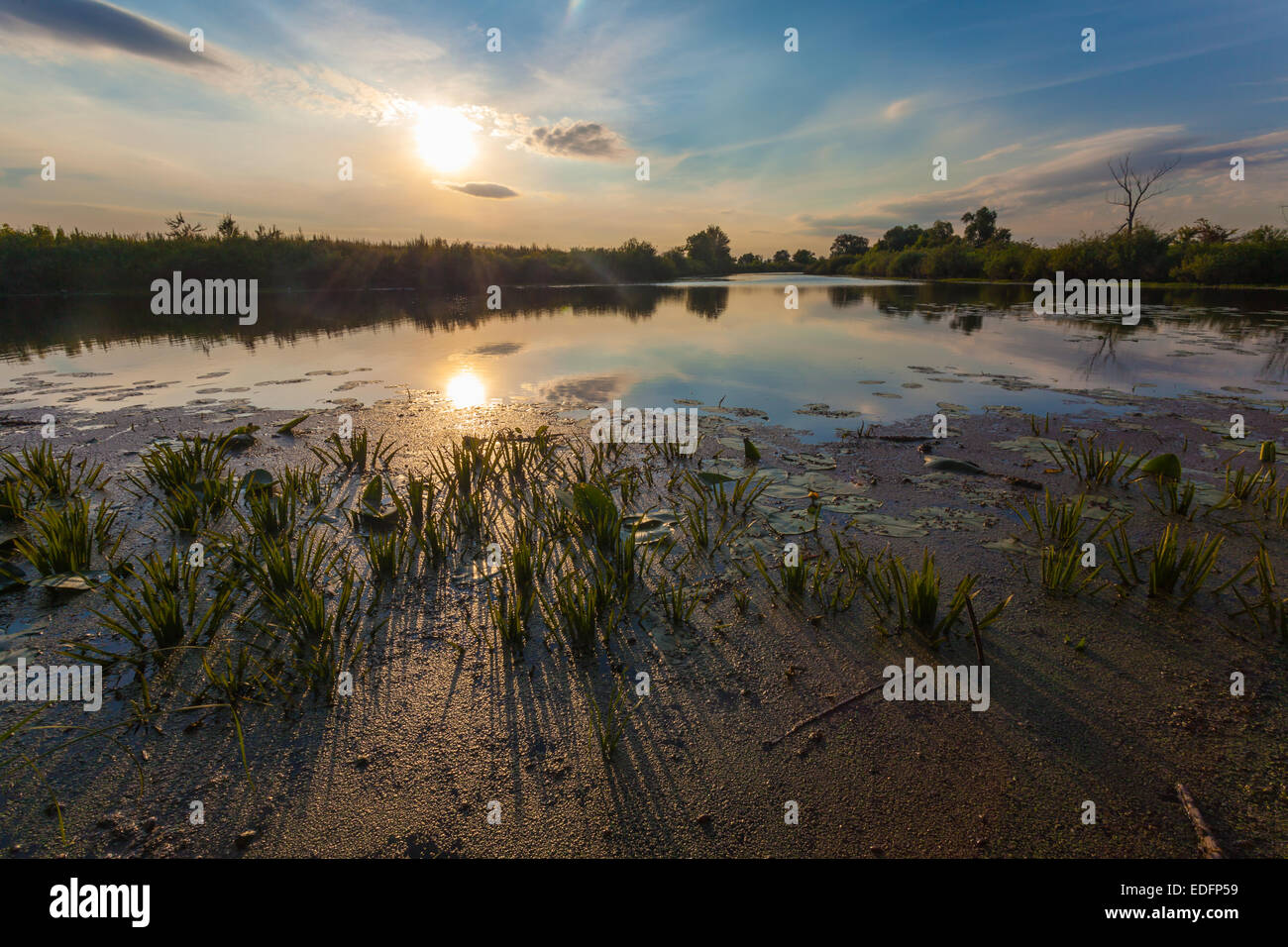 Forest lake, The Ukraine, sunset or sunrise Stock Photo - Alamy