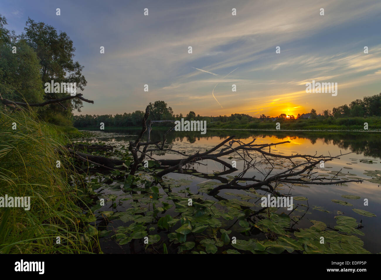 sunset in spring forest, the Ukraine, rural Stock Photo - Alamy