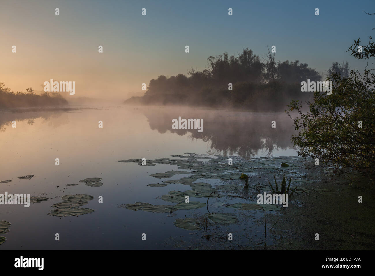 Forest lake, The Ukraine, sunset or sunrise Stock Photo - Alamy
