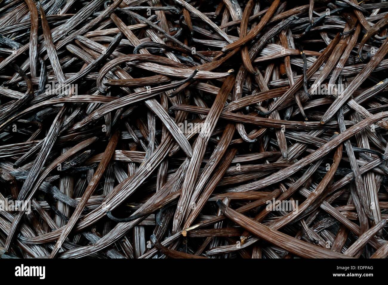 a pile of vanilla is put there to dry out Stock Photo - Alamy