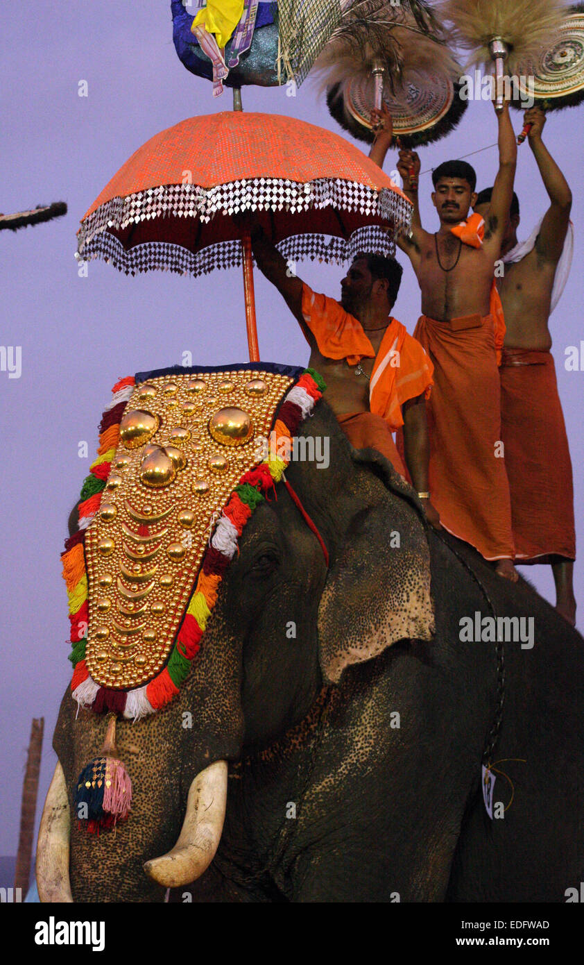 Ornamented elephant in a procession to mark the end of the Pooram ...