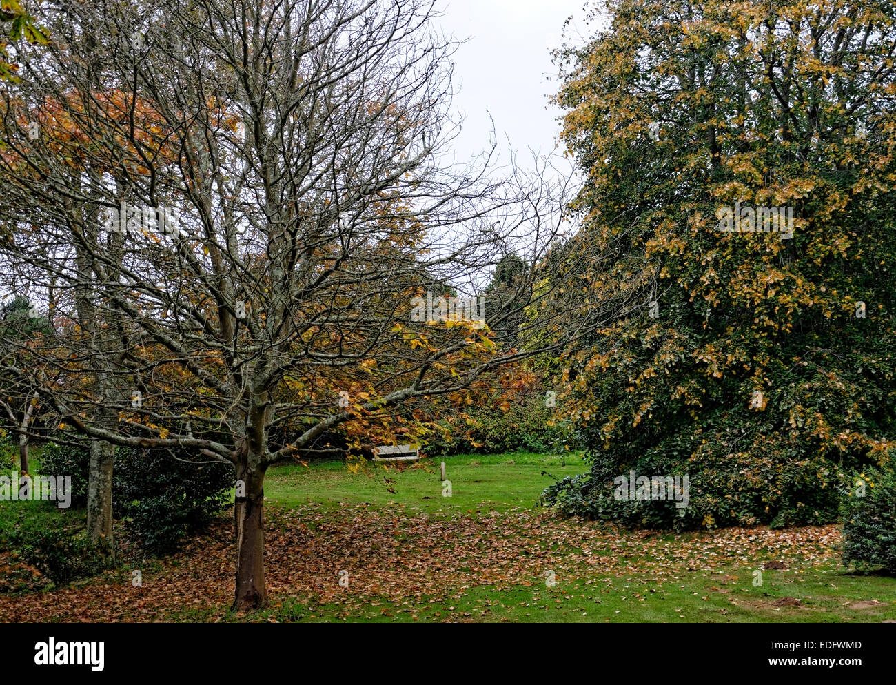 Mottistone Manor, Isle of Wight, mentioned in the Domesday Book, it is ...