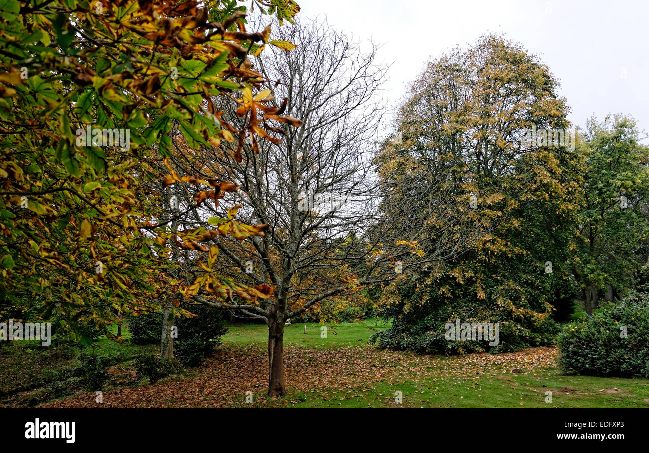 Mottistone Manor, Isle of Wight, mentioned in the Domesday Book, it is ...