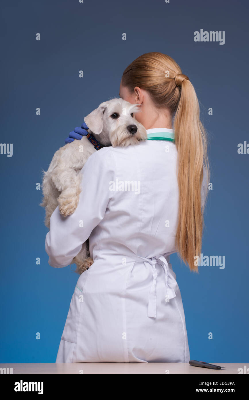 Beautiful young female professional vet hi-res stock photography and ...