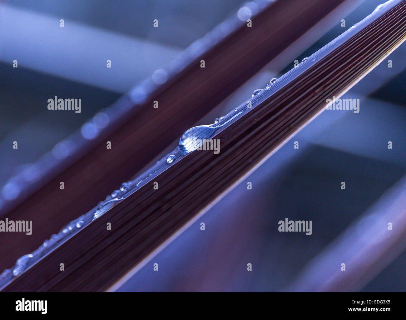 Reflective drops hi-res stock photography and images - Alamy