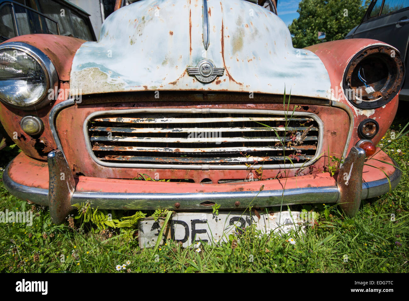 Front of an abandoned, rusting Morris Minor car Stock Photo - Alamy