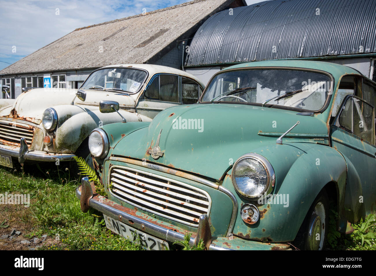 Old Morris Minor cars Stock Photo - Alamy