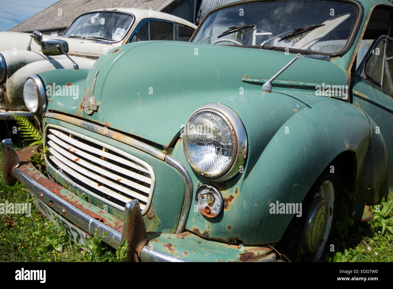 Old Morris Minor cars Stock Photo - Alamy