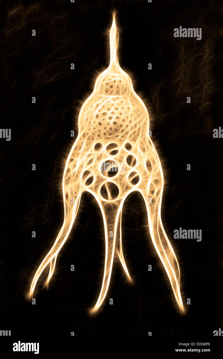 Radiolarians High Resolution Stock Photography and Images - Alamy