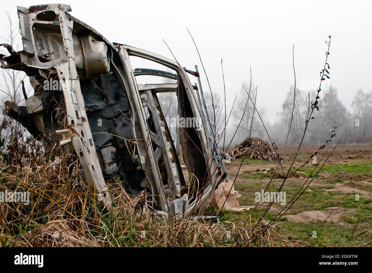 Undisturbed land hi-res stock photography and images - Alamy