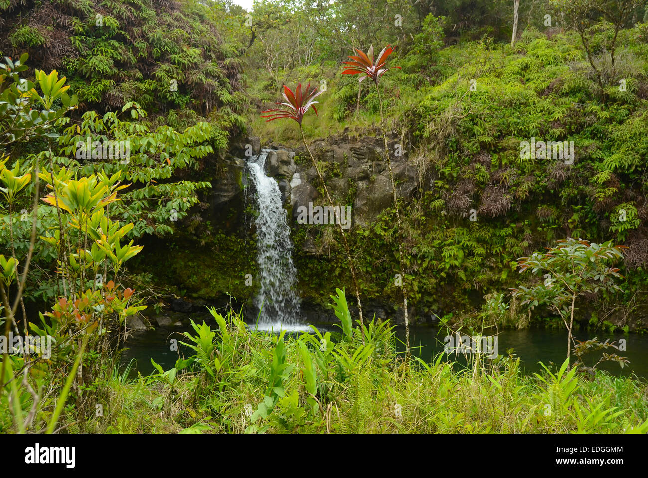 Waterfall and nature scenery from Maui, Hawaii Stock Photo - Alamy