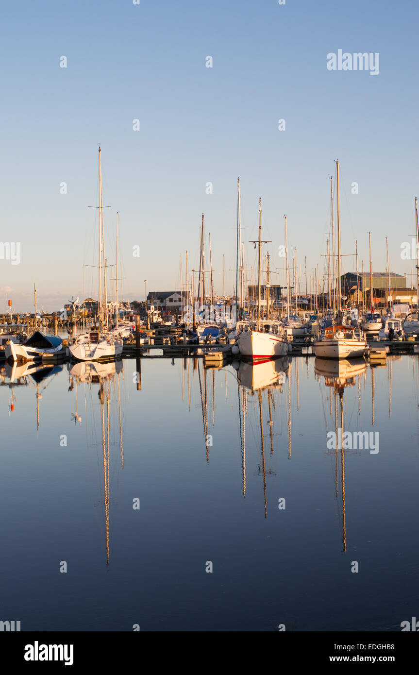 Boats moored in Amble marina, winter sunshine, Northumberland, England ...