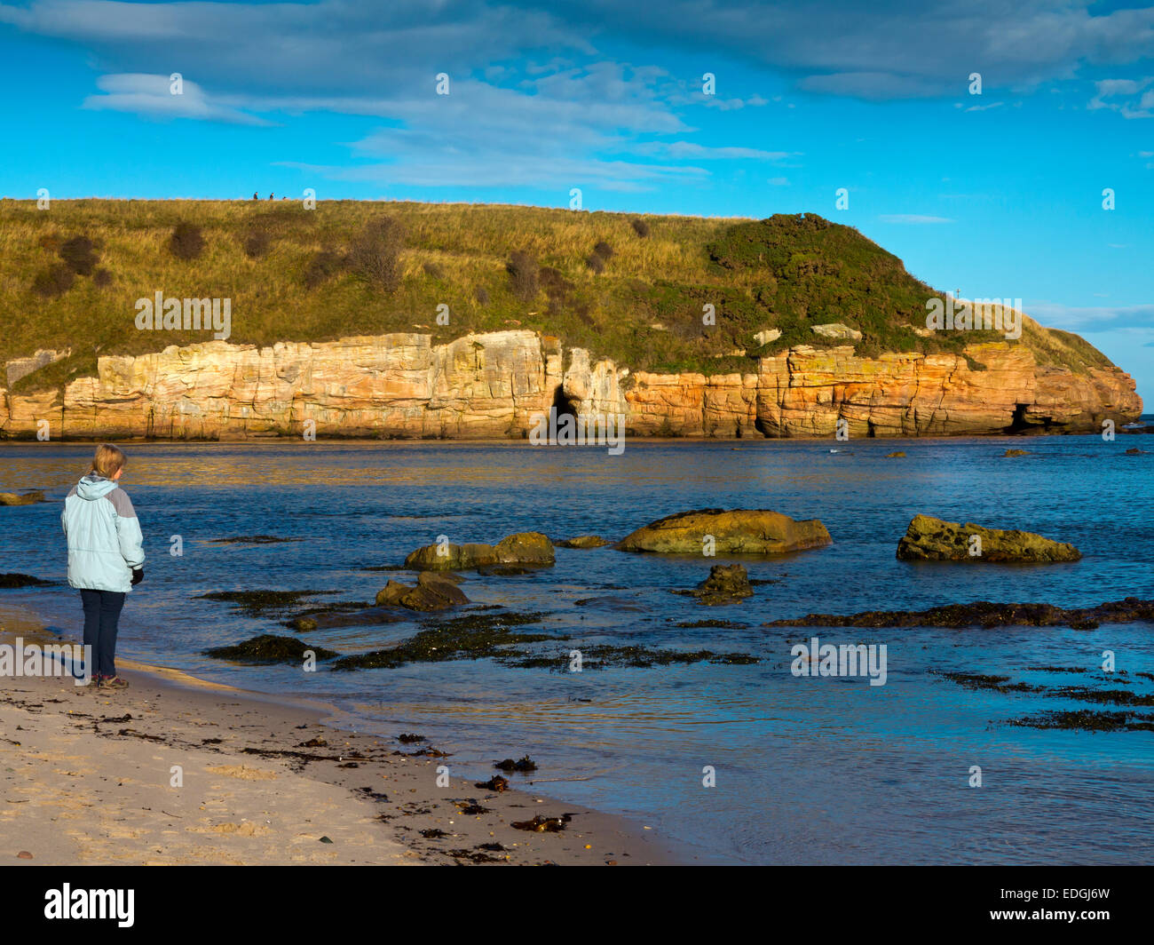 The coastline at Sharper's Head in Berwick upon Tweed Northumberland ...