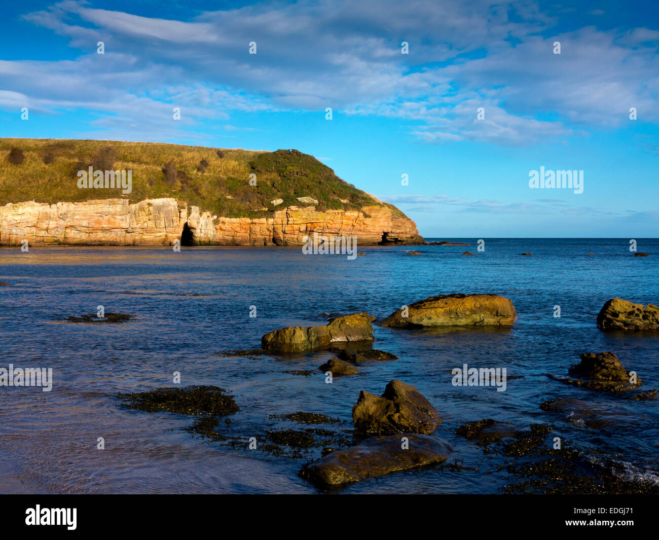 The coastline at Sharper's Head in Berwick upon Tweed Northumberland ...