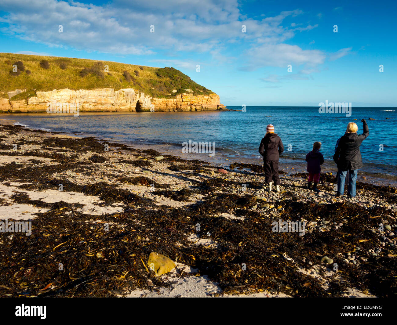 The coastline at Sharper's Head in Berwick upon Tweed Northumberland ...