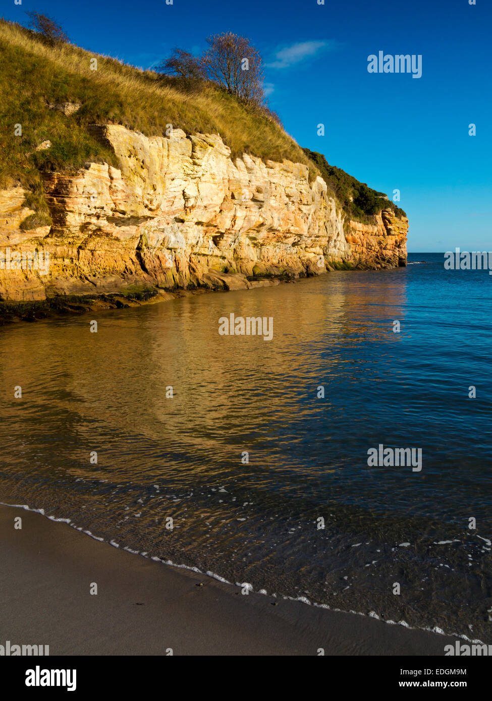 The coastline at Sharper's Head in Berwick upon Tweed Northumberland ...