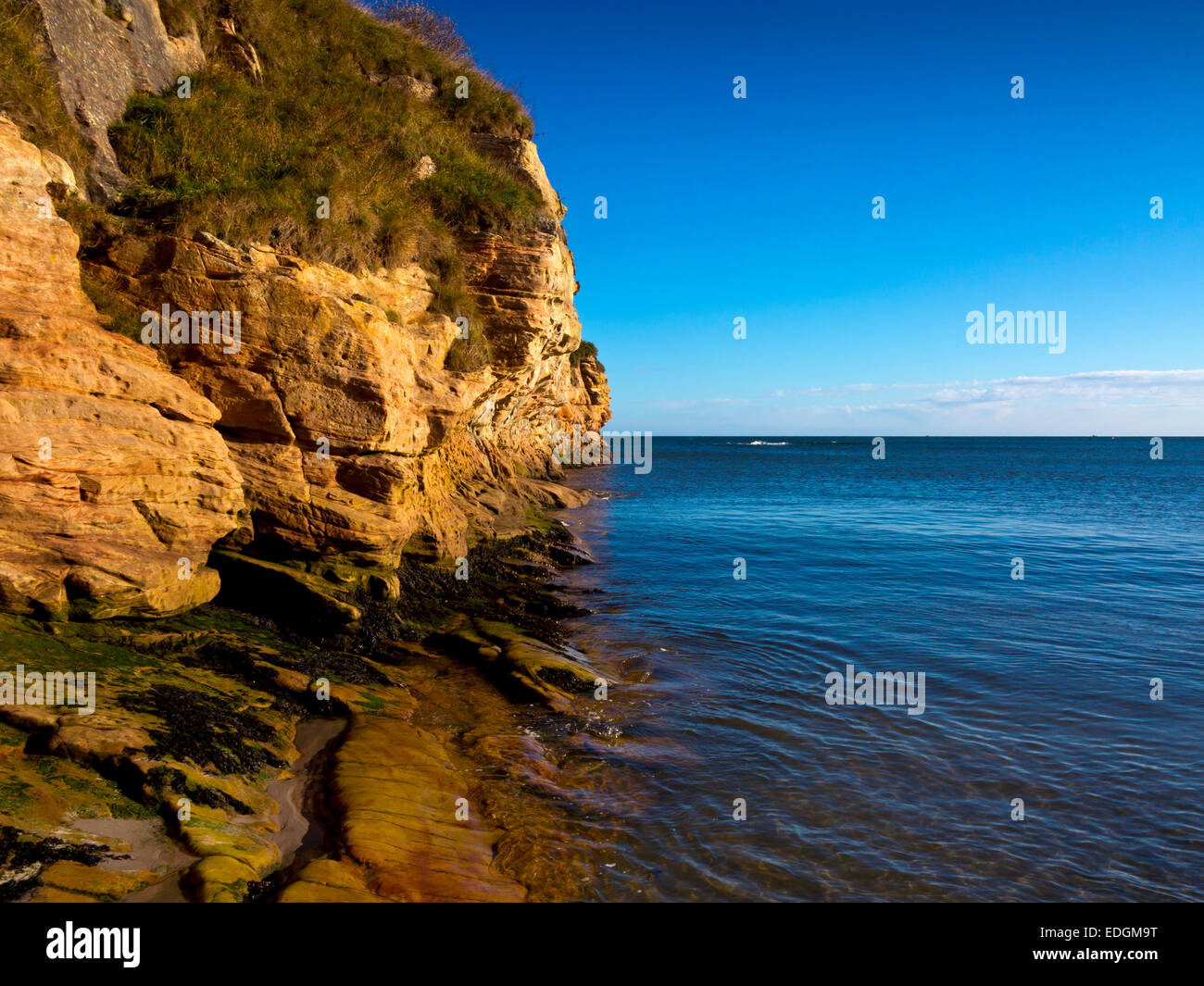 The coastline at Sharper's Head in Berwick upon Tweed Northumberland ...
