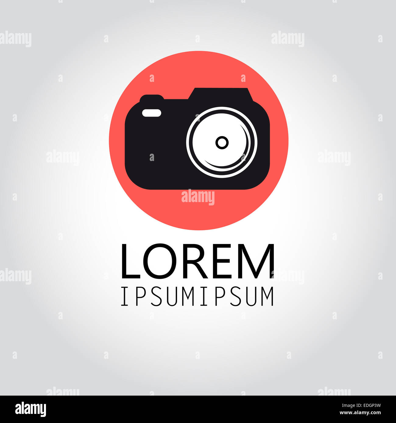 vector illustration of a camera on a gray background Stock Photo - Alamy