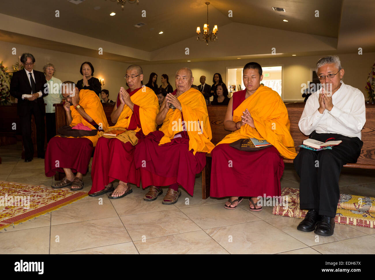 Tibetan americans hi-res stock photography and images - Alamy