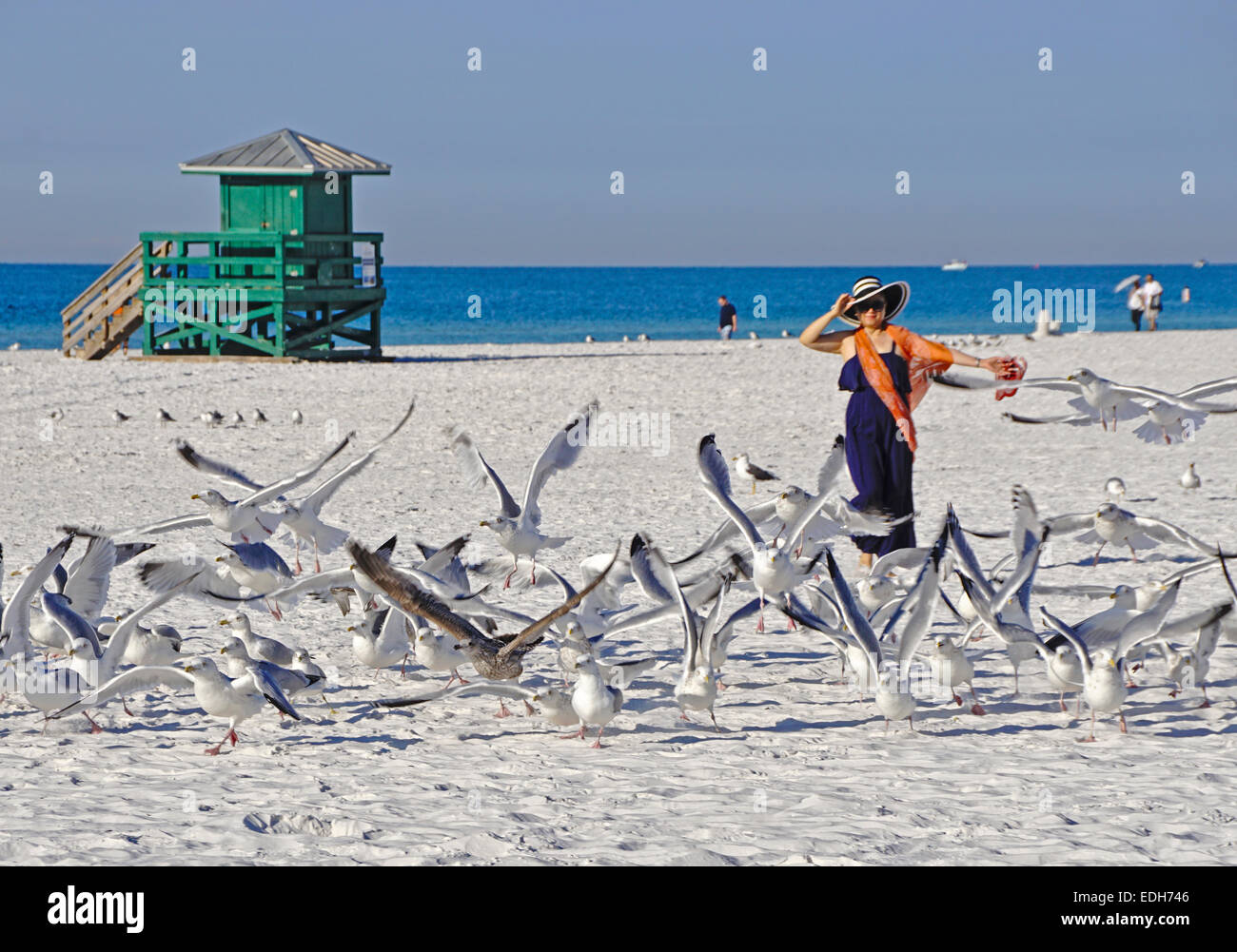 Siesta key hi-res stock photography and images - Alamy