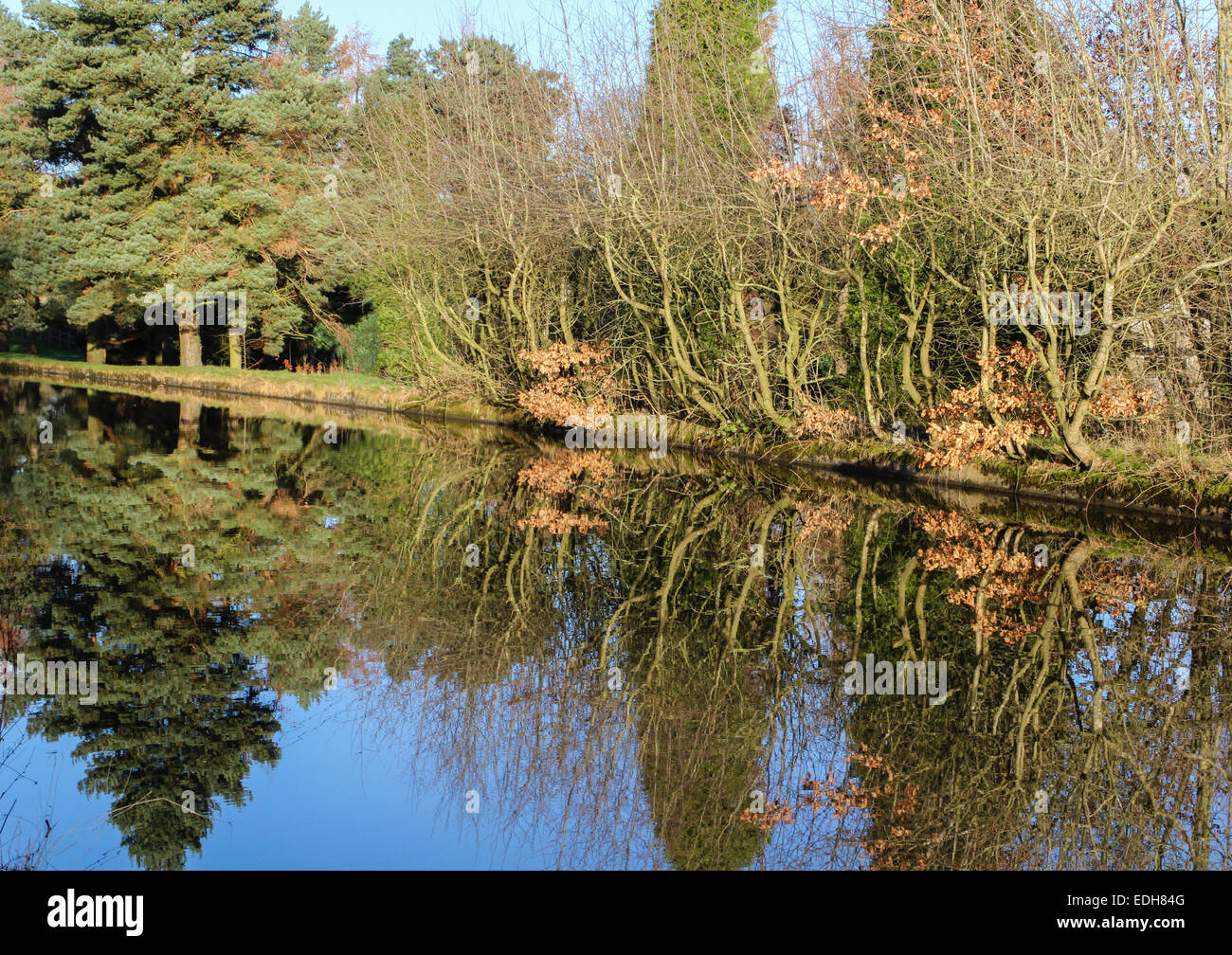 Tree reflection canal hi-res stock photography and images - Alamy