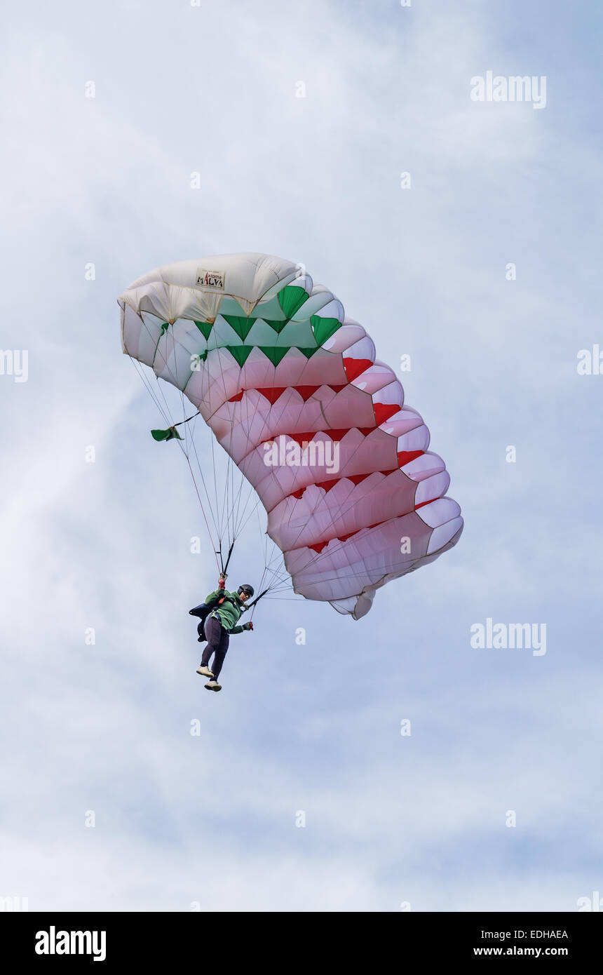 Parachutists - 2014. In flight Stock Photo - Alamy
