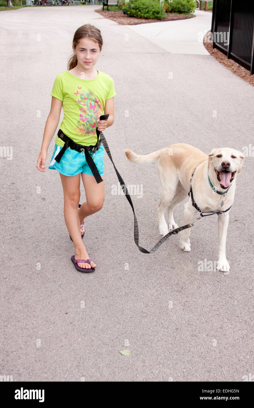 A young girl with her Labrador dog going for a walk in a park Stock ...