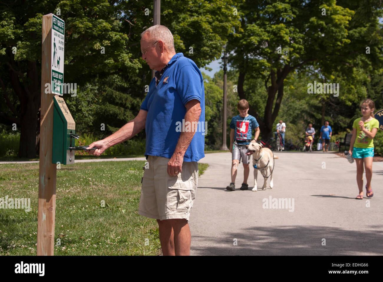 A young boy and girl with her Yellow Labrador dog going for a walk in a ...