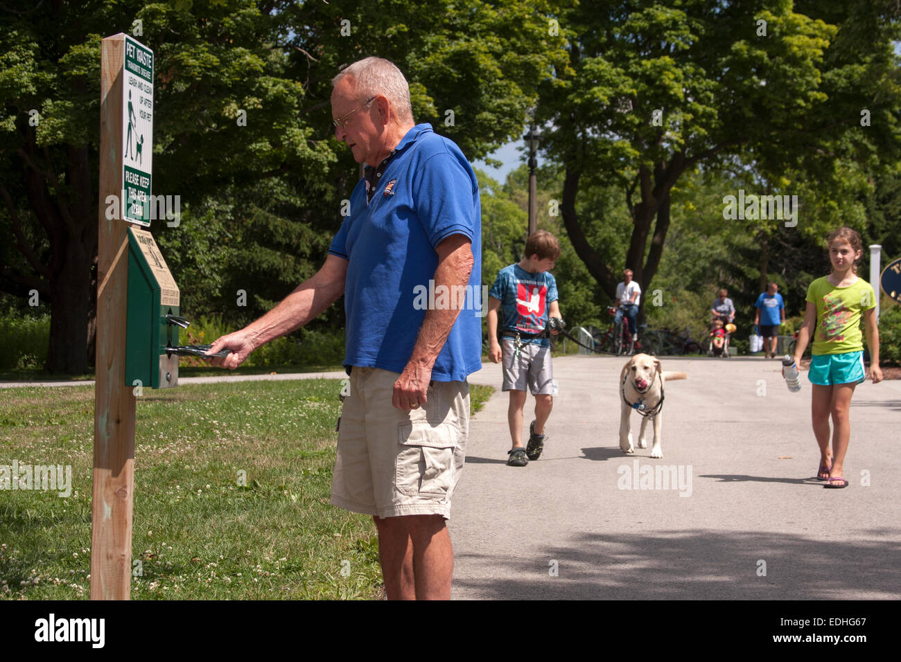 A young boy and girl with her Yellow Labrador dog going for a walk in a ...