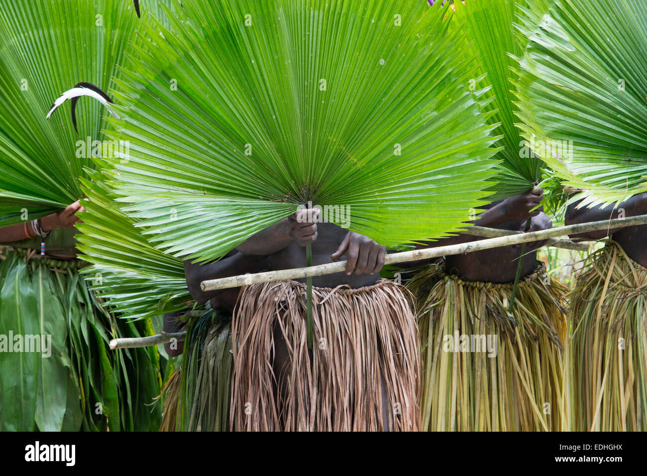 Traditional attire vanuatu High Resolution Stock Photography and Images ...