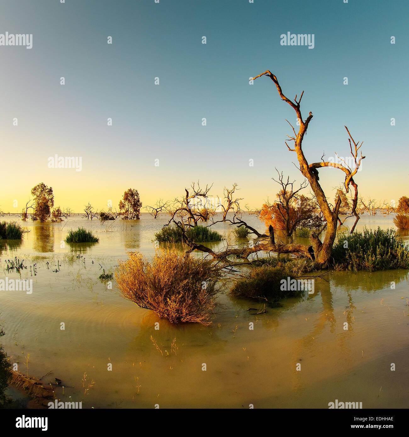 Lake Menindee near Broken Hill, Australia, at sunset Stock Photo - Alamy
