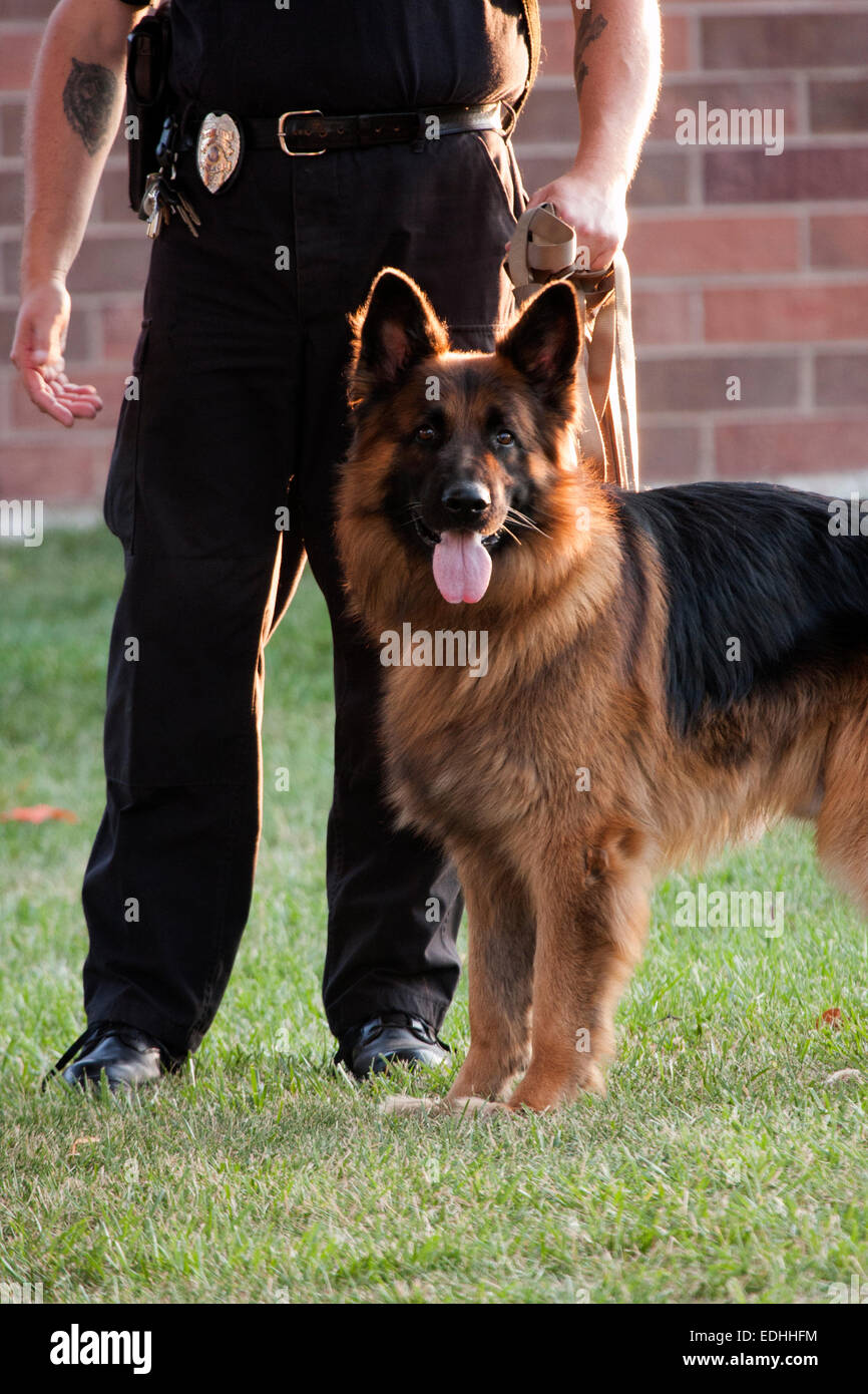Canine police patrol hi-res stock photography and images - Alamy