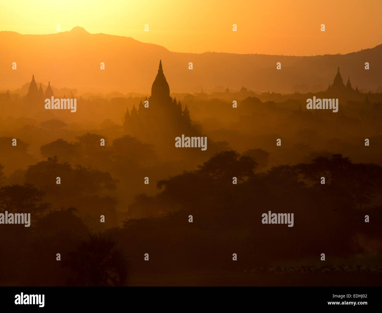 Sunset in the Buddhist temples of Bagan, Myanmar Stock Photo - Alamy