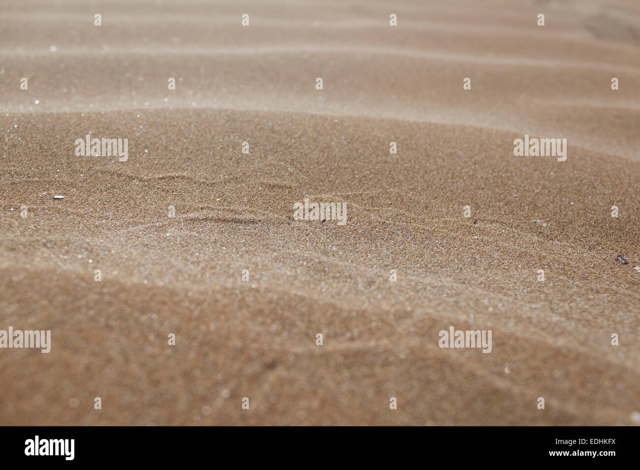 sand on the beach Stock Photo - Alamy