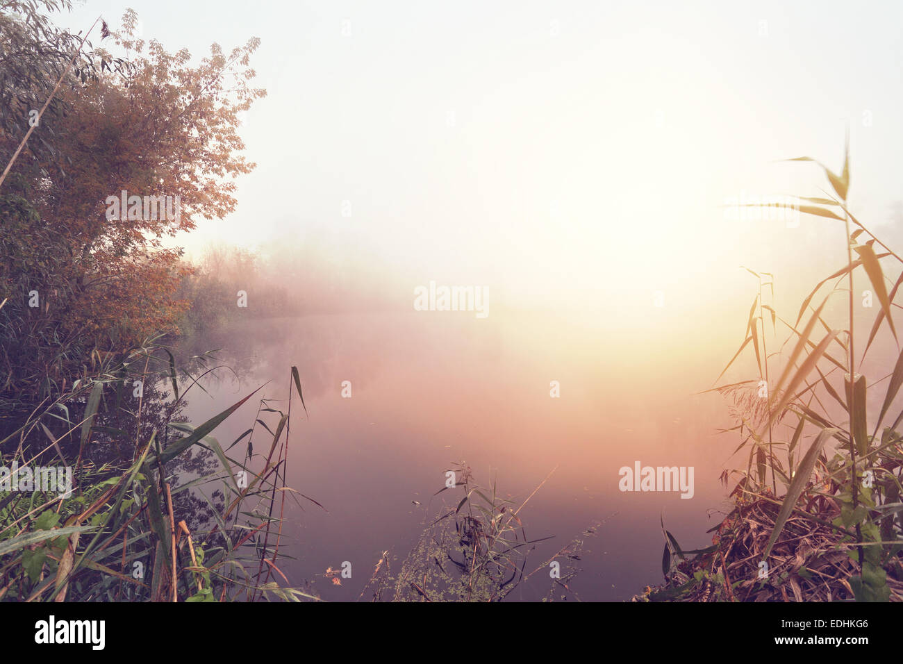 Summer landscape textured sky hi-res stock photography and images - Alamy