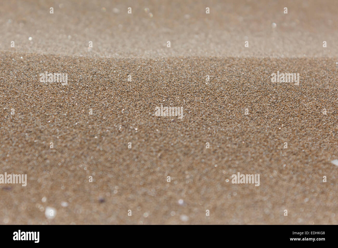 sand on the beach Stock Photo - Alamy
