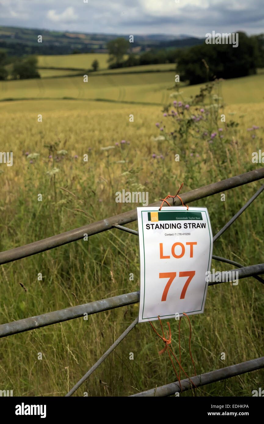 Devon and somerset border hi-res stock photography and images - Alamy